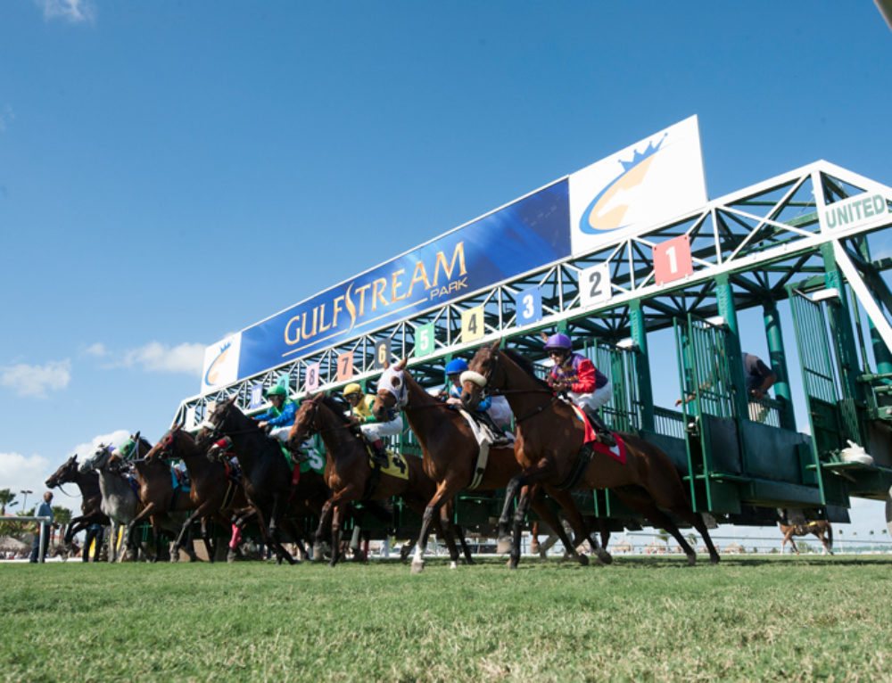 Royal Posse Claims a Second Jewel in Record-Breaking Claiming Crown at ...