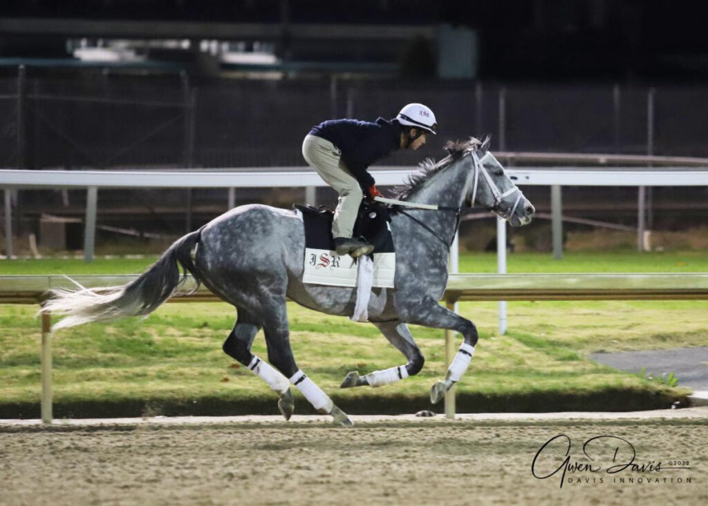 Sharp Sends Out Trio in Pursuit of First Claiming Crown Win - Claiming ...